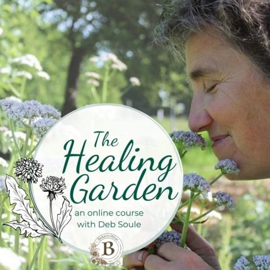 Learn With Us • BotanicWise