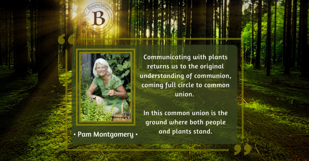 The Art of Plant Communication • BotanicWise