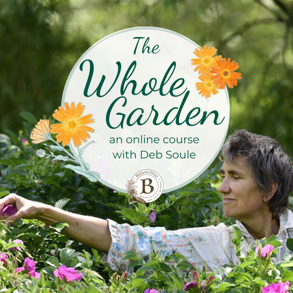 Learn With Us • BotanicWise