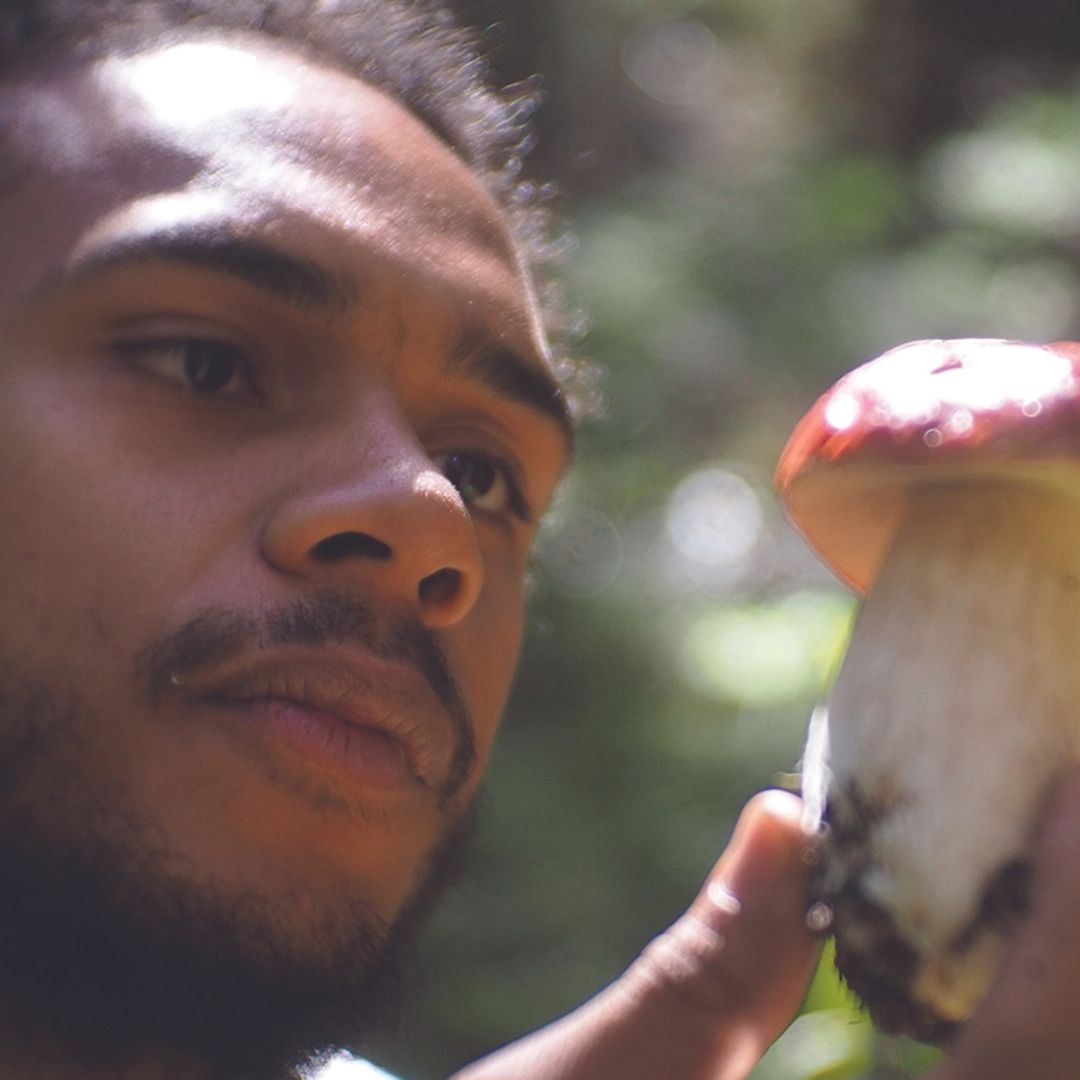 Biohacking Your Brain: An Herbalist's Perspective with Guido Masé ...