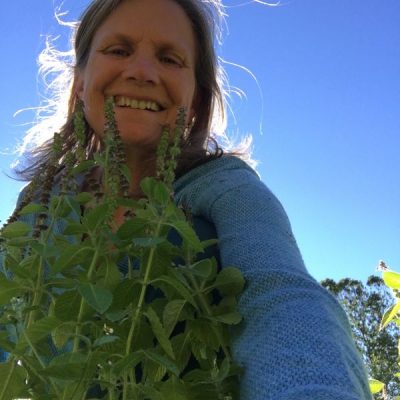 Presenters • BotanicWise